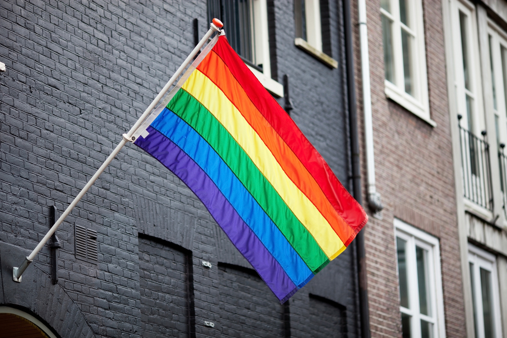The Origins of the LGBTQ+ Movement in the US / Historical Association