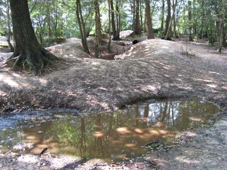 Local environment and buildings / Guidance for Trainee and Early Career ...