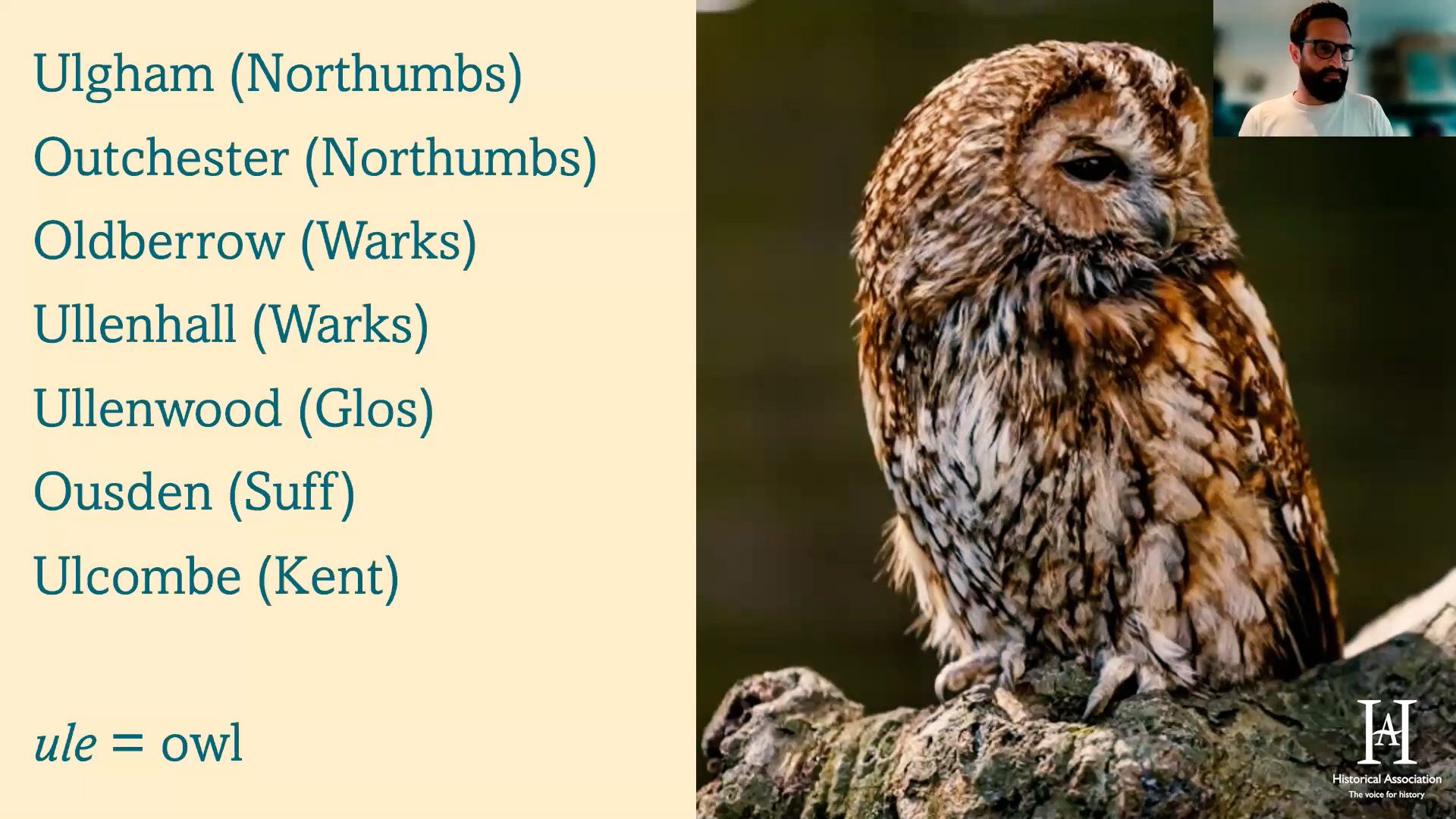 Virtual Branch: Birds and British History / Historical Association