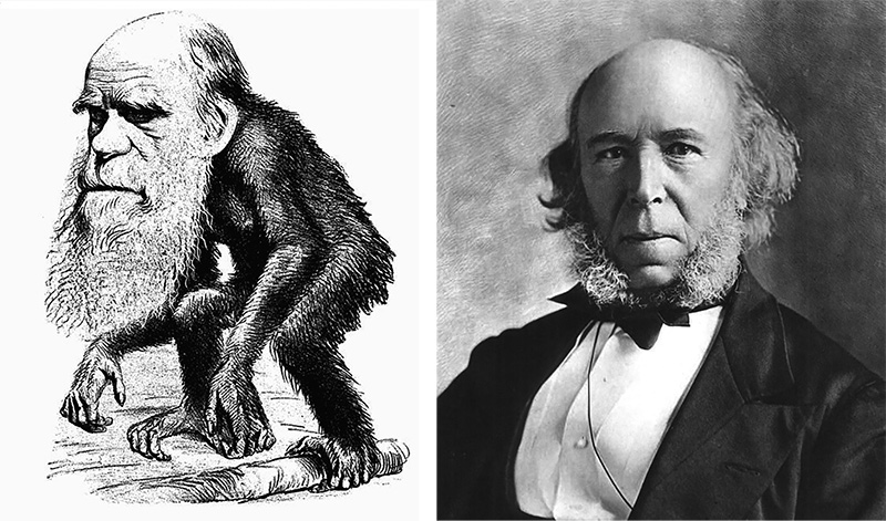 Social Darwinism: the myth and its reinvention / Historical Association