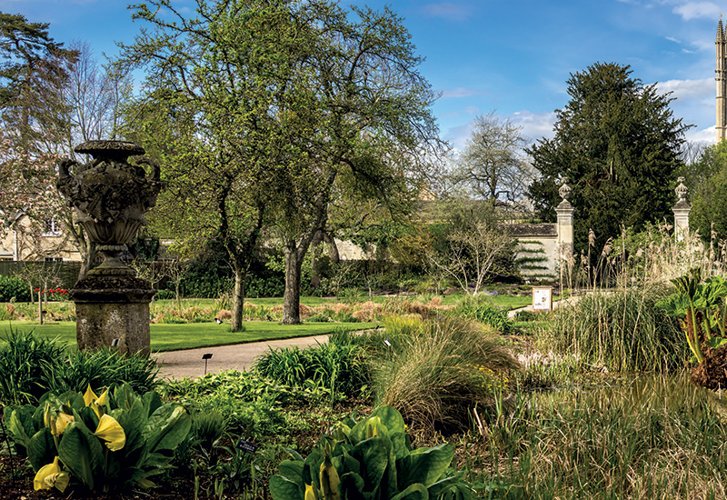 Out and About: The historical significance of the Botanic Garden in ...